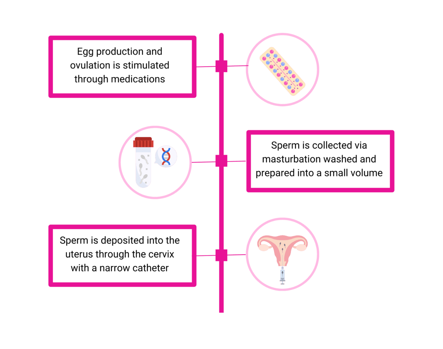 IUI - Neelkanth IVF Centre