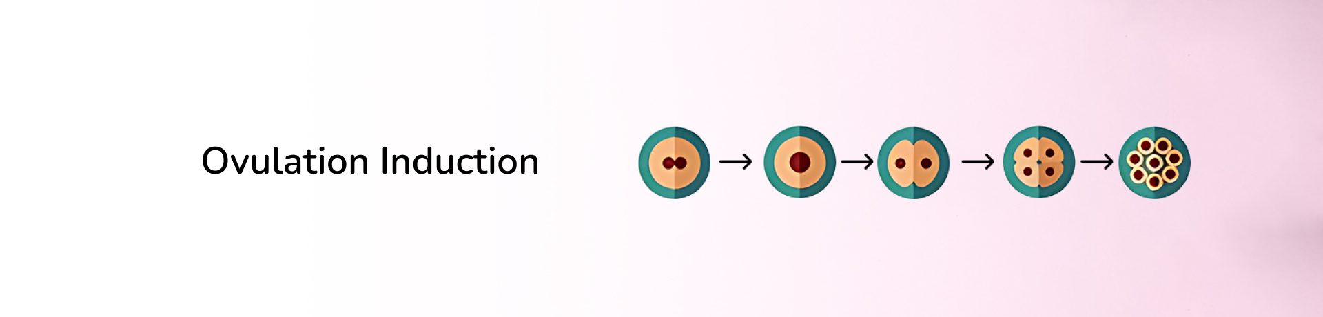 Ovulation Induction - Neelkanth IVF Centre