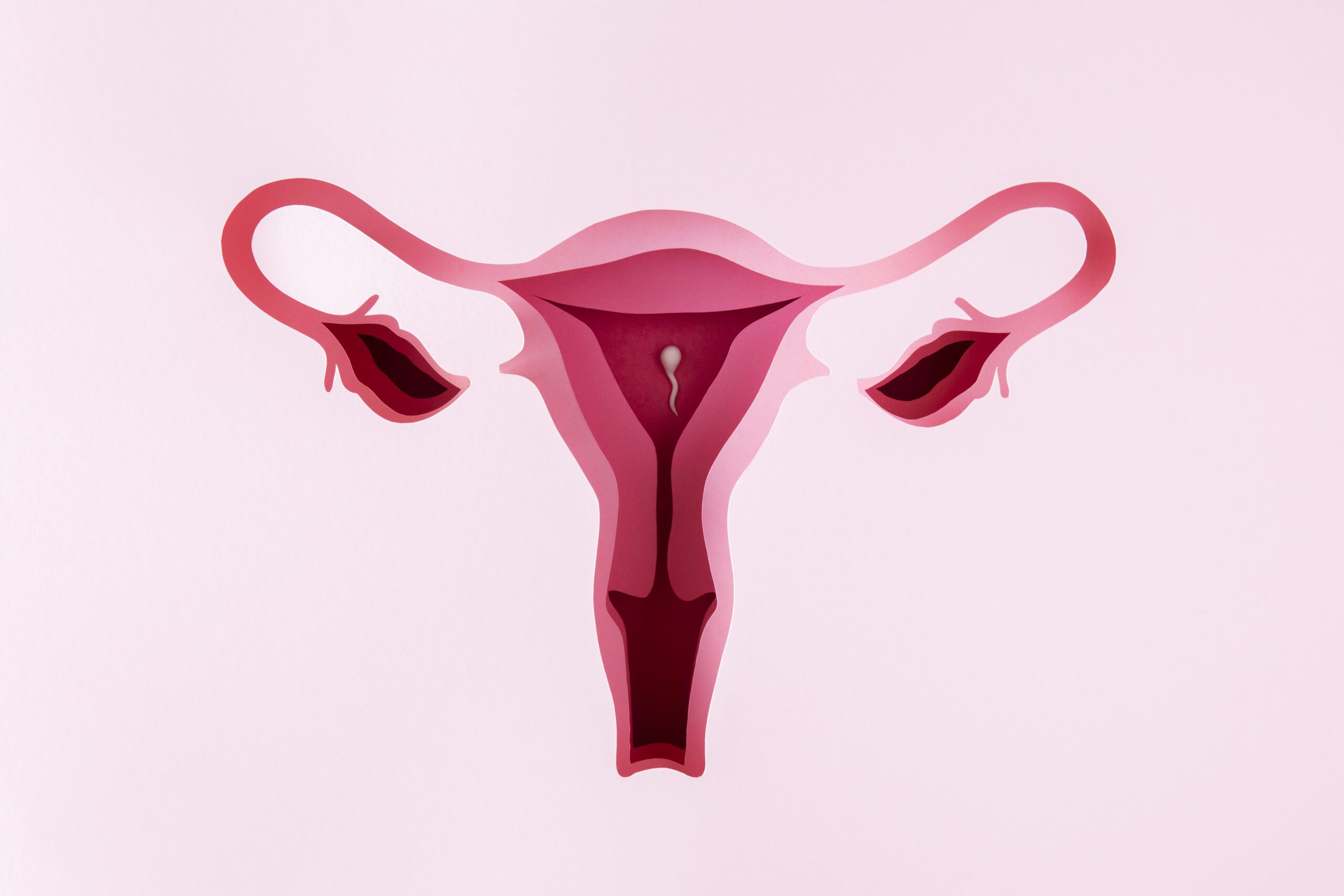 A Comprehensive Guide to Treating a Small Uterus
